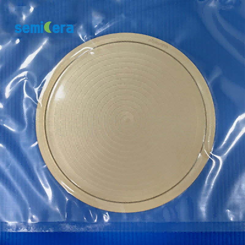 China Tantalum Carbide CVD Coating EPI Susceptor Suppliers ...